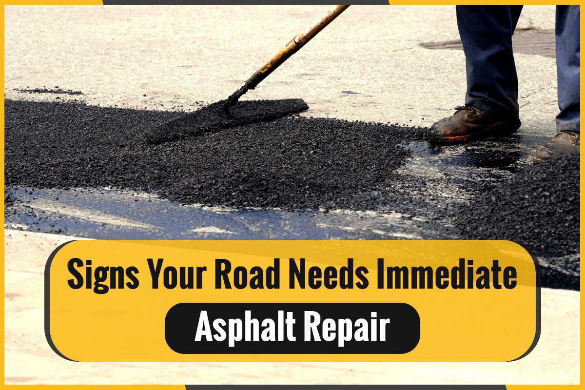 Signs Your Road Needs Immediate Asphalt Repair - The Pavement Group